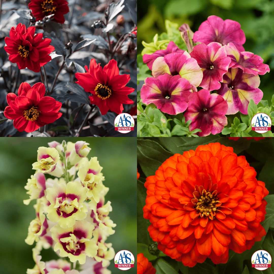 New Year – New Plants! – Floral Acres Greenhouse & Garden Centre