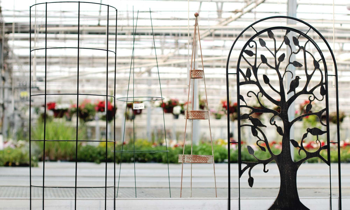 Support – Tagged "TRELLIS"– Floral Acres Greenhouse & Garden Centre