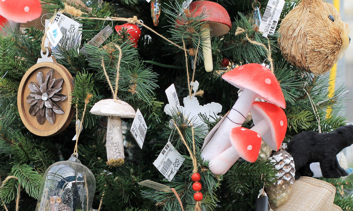 Forrest Christmas Tree – Floral Acres Greenhouse & Garden Centre