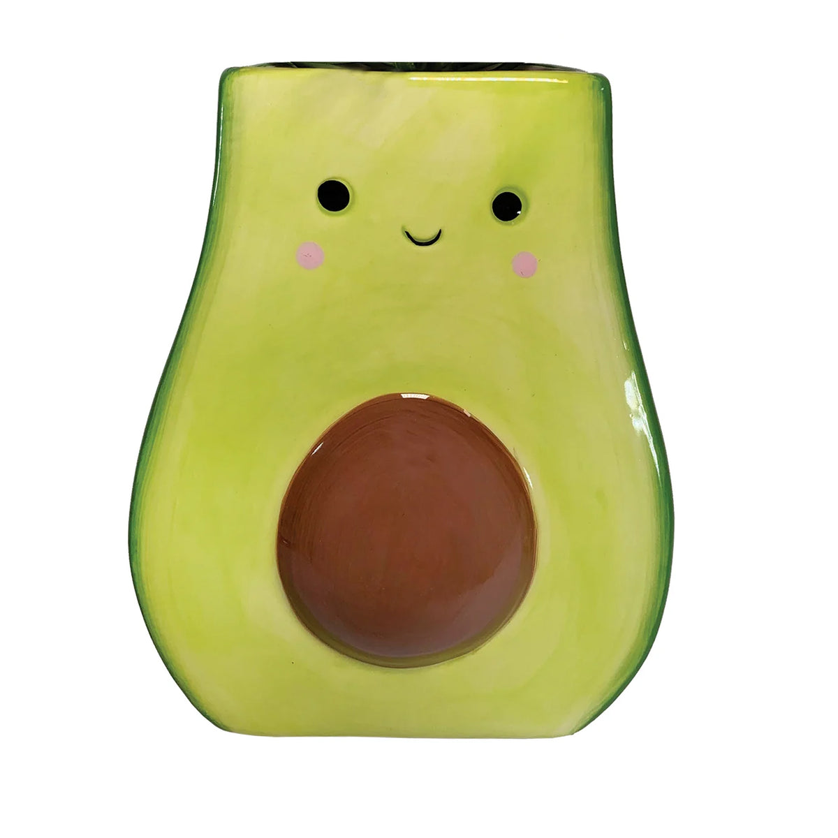 Ceramic Avocado Planter – Floral Acres Greenhouse & Garden Centre