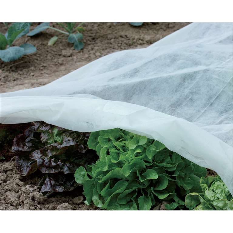 Holland Greenhouse Garden Fleece, 6.5ft x 16.5ft – Floral Acres ...