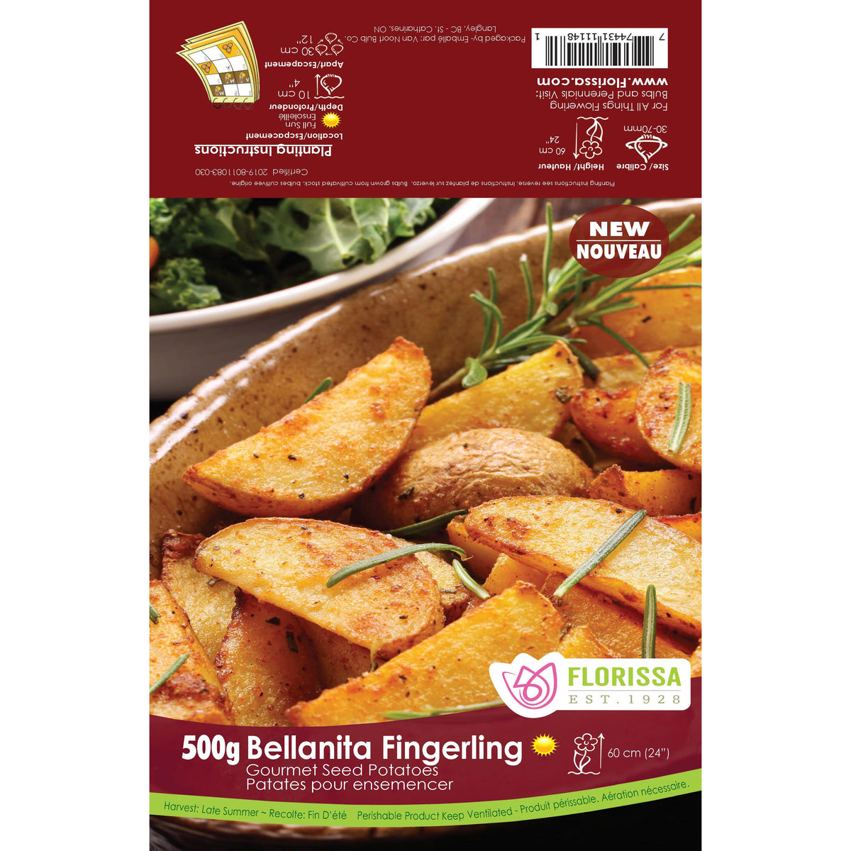 Seed Potato - Gourmet Bellanita Fingerling, VN – Floral Acres ...
